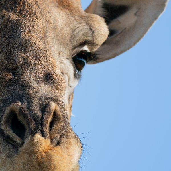 -Sigma - Digital Camera Graz