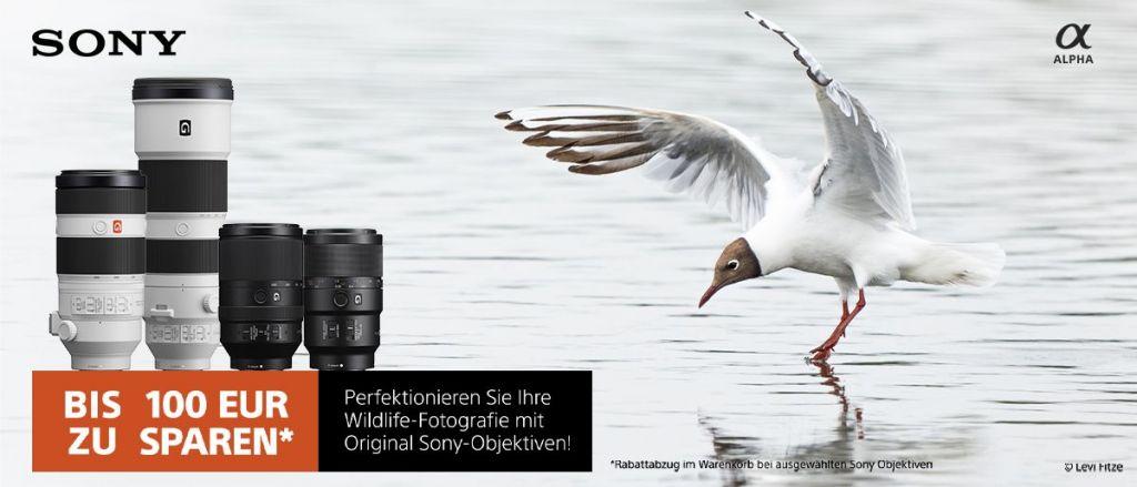 Digital Camera Graz - Ihr Foto- und Videoexperte 2x in Graz